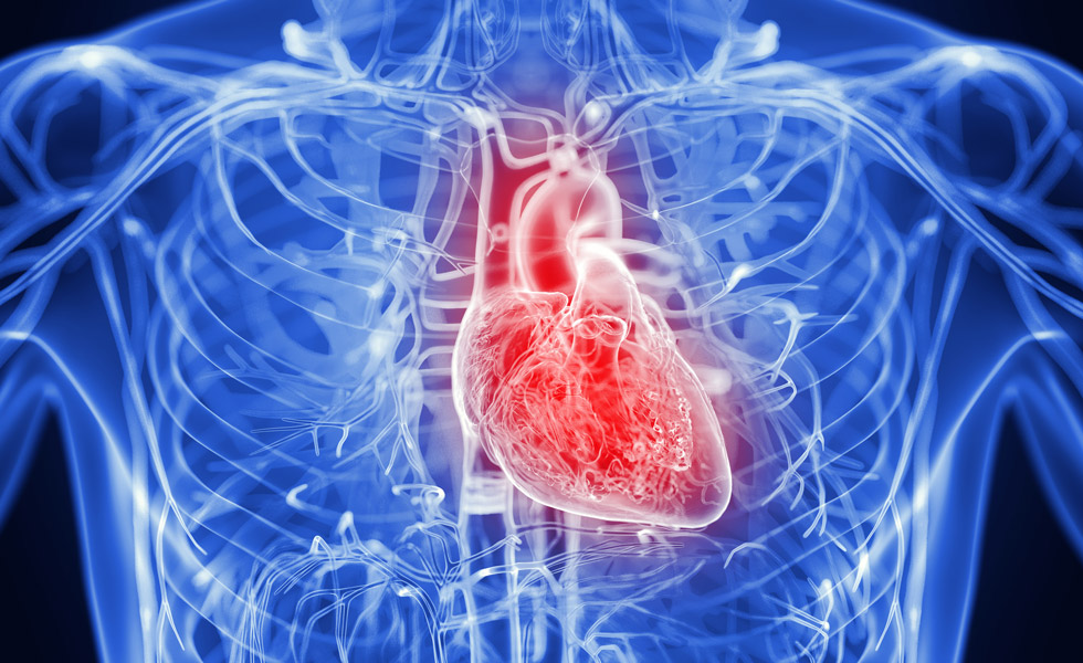 Home - www.max-planck-innovation.com